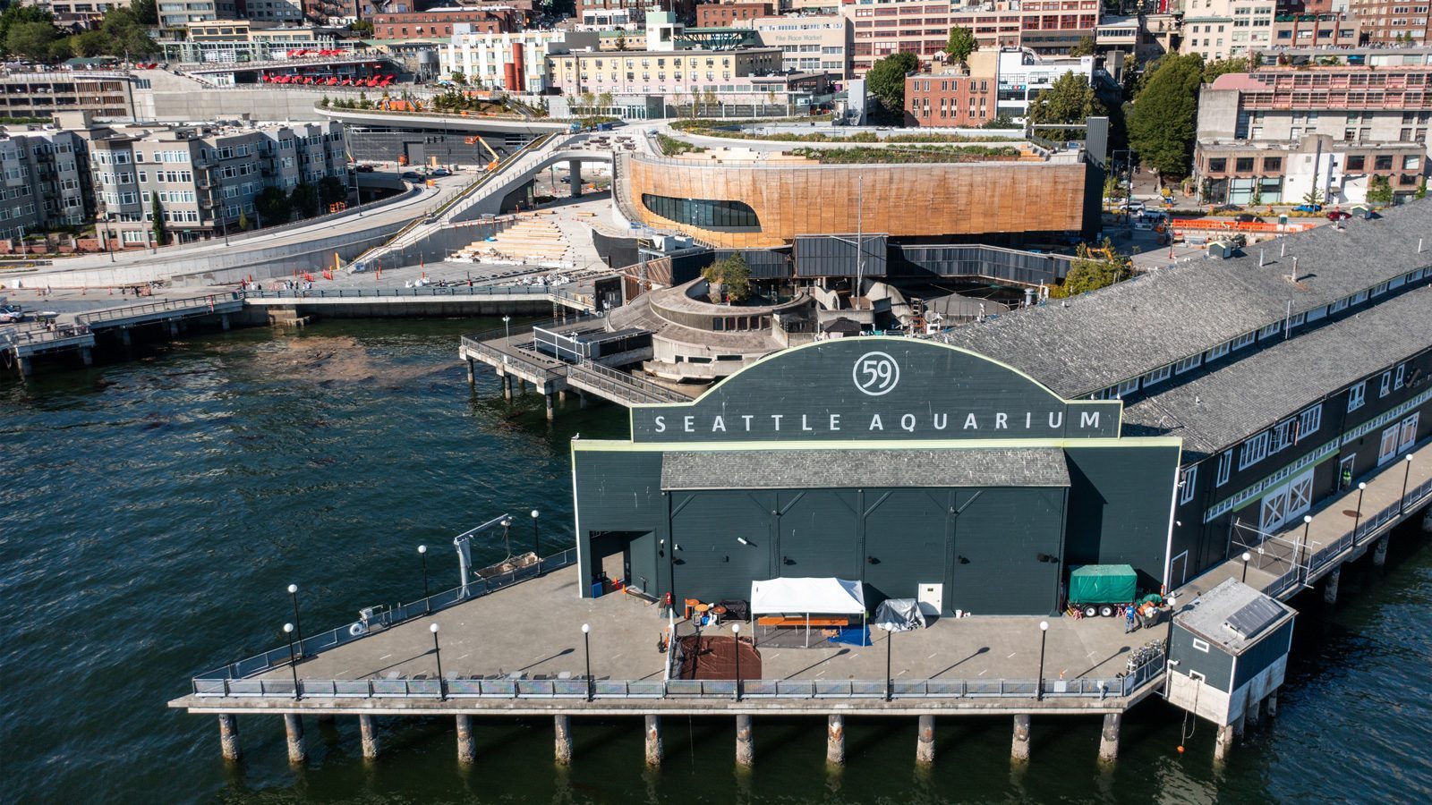 Dive into the Design Behind Seattle Aquarium’s New Ocean Pavilion ...